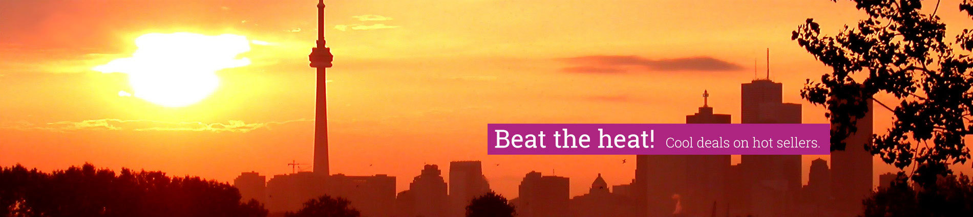 Printing Services Toronto | Printing & Sign Company in Toronto | Banner ...